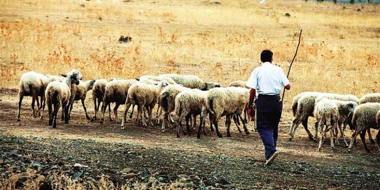 ΚΤΗΝΟΤΡΟΦΙΚΟΙ ΣΥΛΛΟΓΟΙ ΑΝΑΤ. ΜΑΚΕΔΟΝΙΑΣ ΘΡΑΚΗΣ: "Παράθεση θεμάτων ...